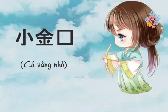 Biệt Danh, Nickname Tiếng Trung Hay Và Ý Nghĩa