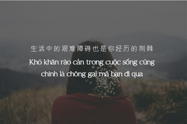 Những Câu Nói Tiếng Trung Hay Và Ý Nghĩa Về Tình Yêu, Cuộc Sống