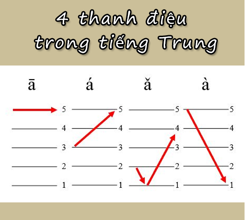 Cách Dùng Các Dấu Trong Tiếng Trung